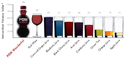 Antioxidants 101 -- The Comprehensive Step-By-Step Guide To ...